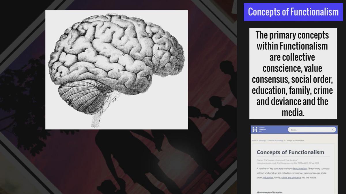 Concepts of Functionalism